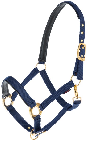 Halfter TopLine Warmblut (Full), dunkelblau | Halfter & Stricke ...